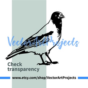 Hooded Crow Svg Clip Art Corvus Cornix Vector Graphic - Etsy