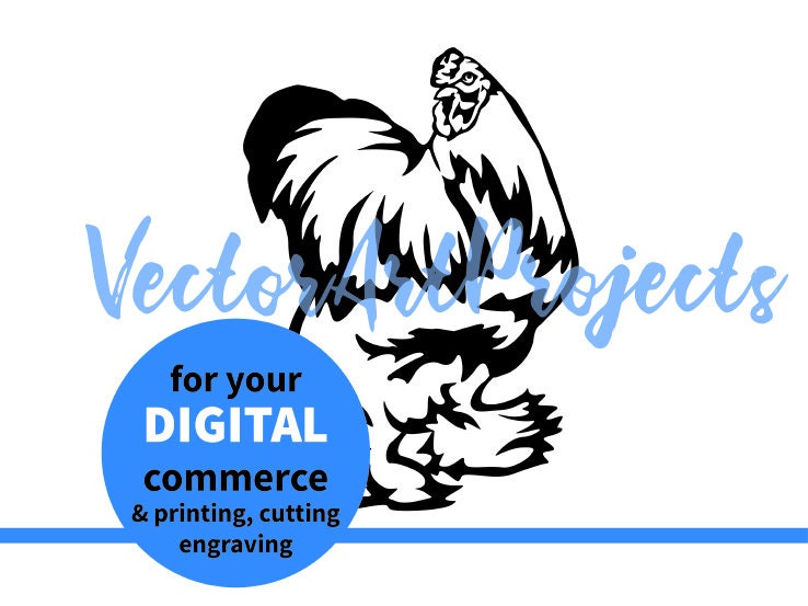 Brahma Chicken Svg Clip Art Rooster Vector Grpahic Art - Etsy