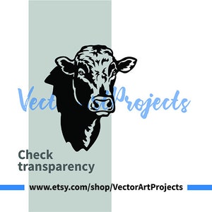 South Devon Cattle Svg Devon Bull Vector Graphic Art, Beef Cattle Cut ...