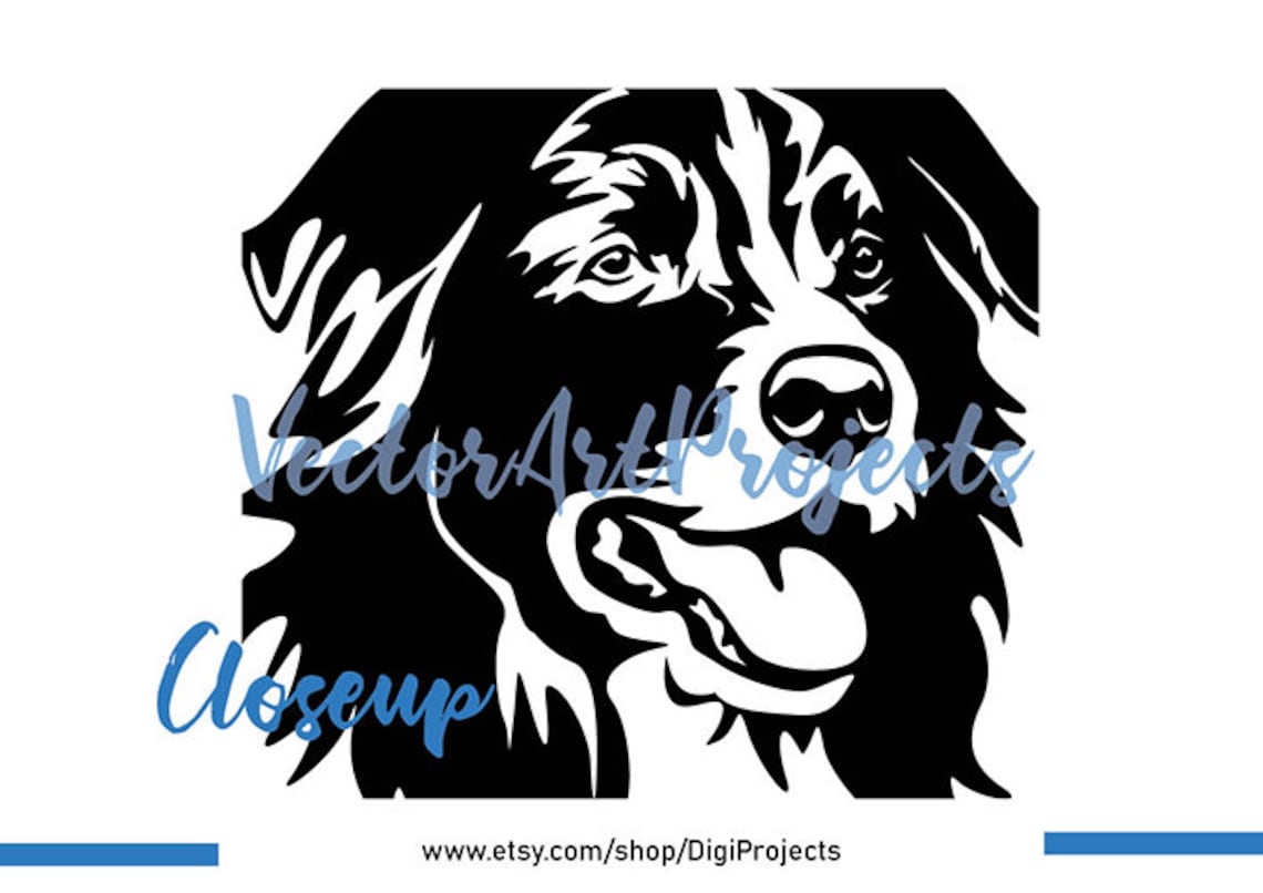 Border Collie Svg Head Vector Art Dog Commercial Digital Use | Etsy