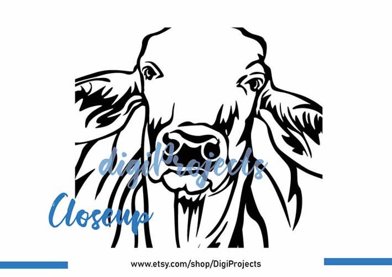 Brahman Cow Svg Digital Design Vector Graphic Art Farm Animal Clipart ...