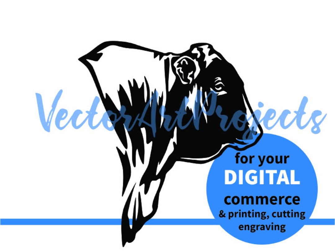 Beefmaster Svg Digital Vector Graphic Bull, Beefmaster Cattle Breed ...