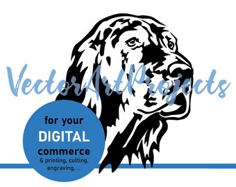 English Setter Png - Etsy