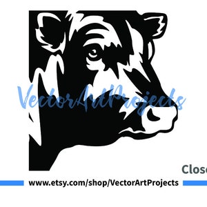Lowline Angus Bull Svg Vector Graphic Head Portrait, Lowline Cattle ...
