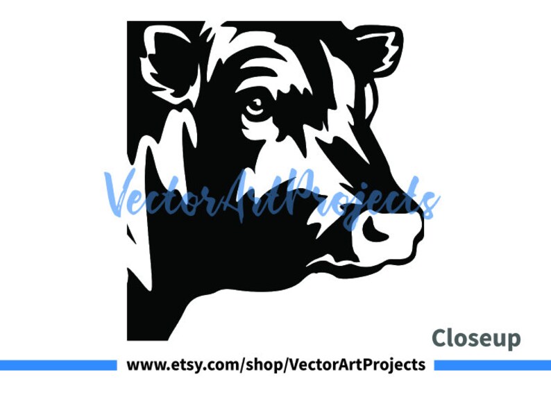 Lowline Angus Bull Svg Vector Graphic Head Portrait, Lowline Cattle ...