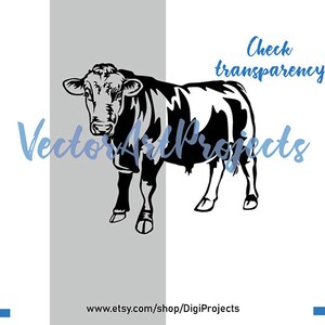 South Devon Cattle Svg Devon Bull Vector Graphic Art, Beef Cattle Cut ...
