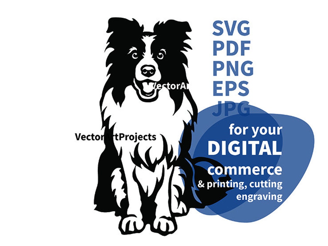 Sitting Dog Svg Border Collie Vector Graphic Art Clip Art, Border ...