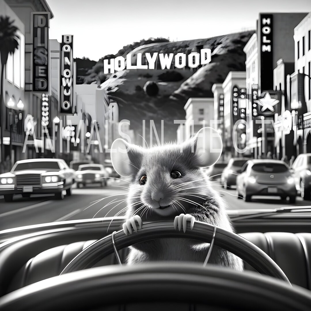 Original Art of a Mouse Driving on a Street in Hollywood, Los Angeles ...