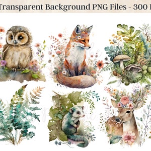 Watercolor Woodland Clipart Bundle, Forest Animals PNG, Commercial Use ...