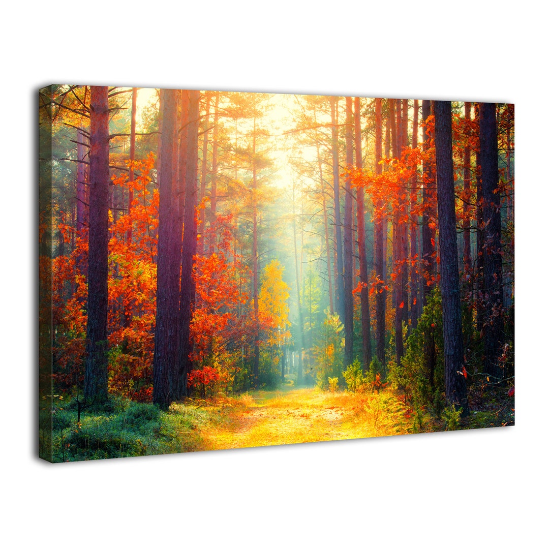 Autumn Forest Wall Art Colorful Forest Scenery Wall Decor Sunny Fall ...