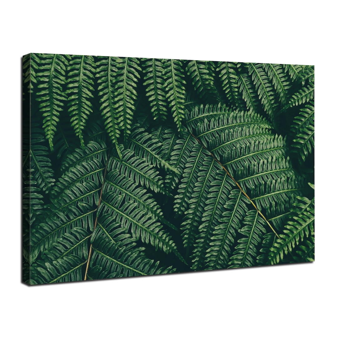 Green Fern Leaves Canvas Wall Art Tropical Leaves Wall Decor Abstract ...