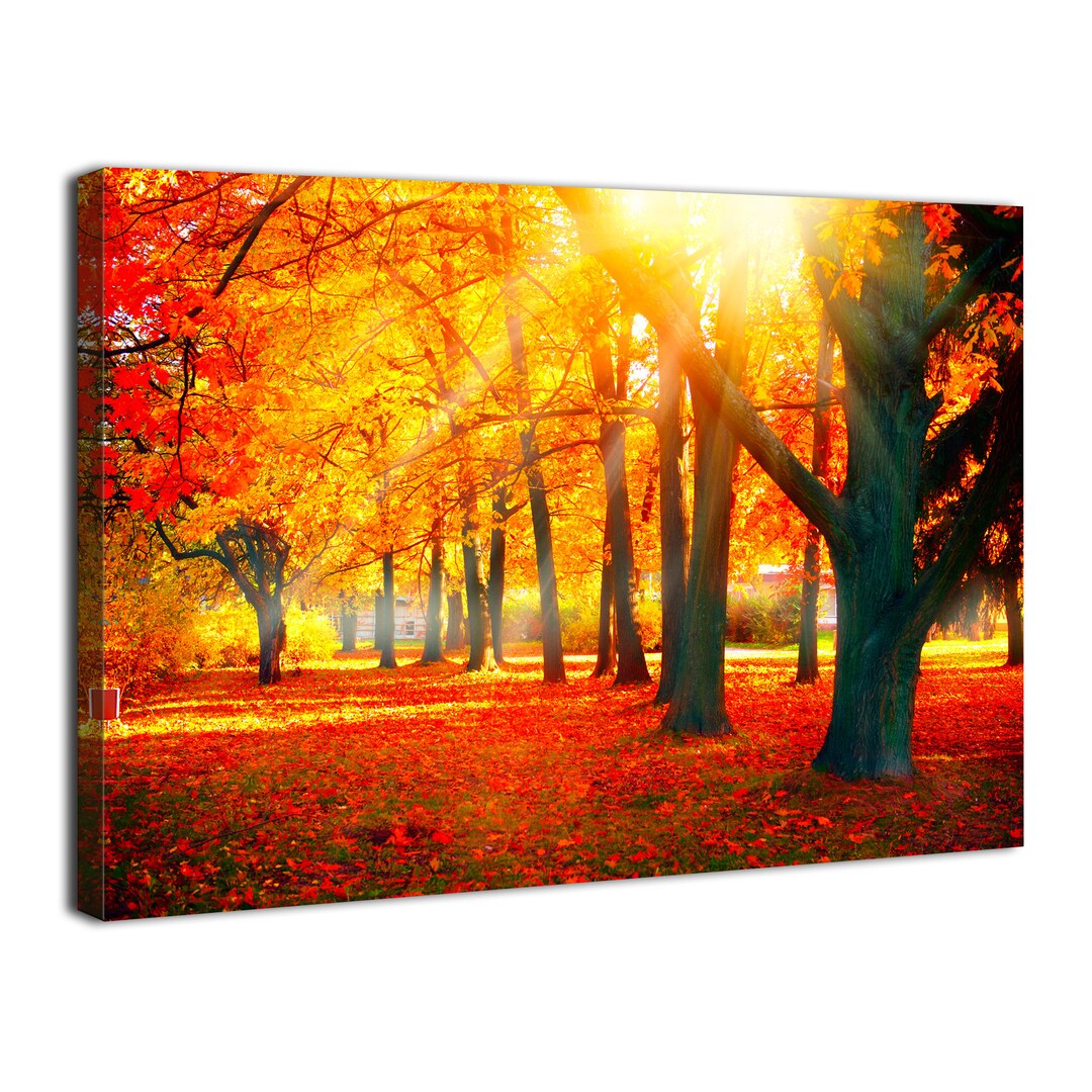 Fall Forest Canvas Wall Art Sunny Forest Wall Decor Autumn Nature Park ...