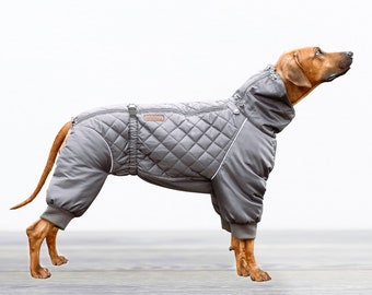 Full body dog suit | Etsy