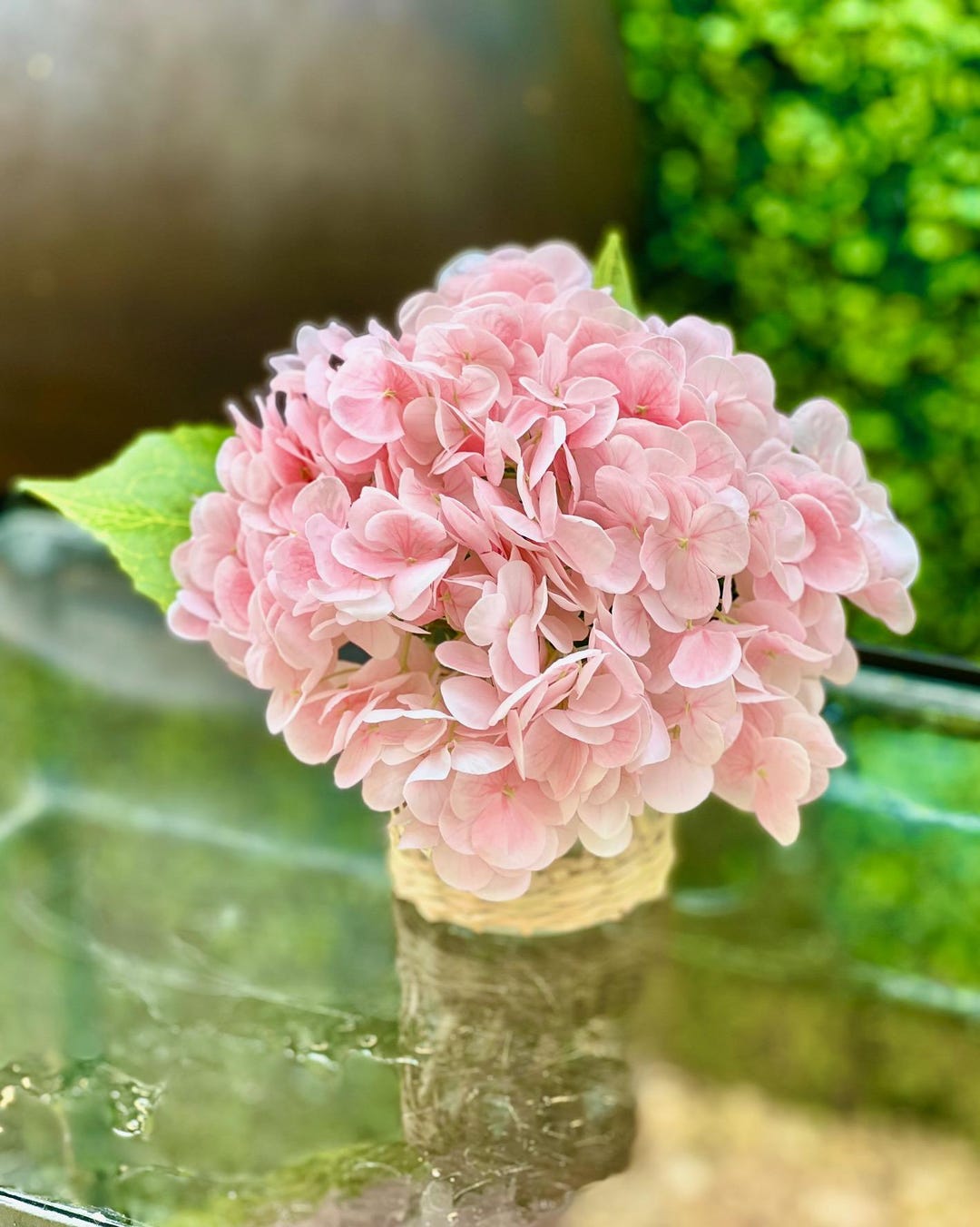 Hydrangeas Real Touch in Cane Vase With Illusion Water - Etsy