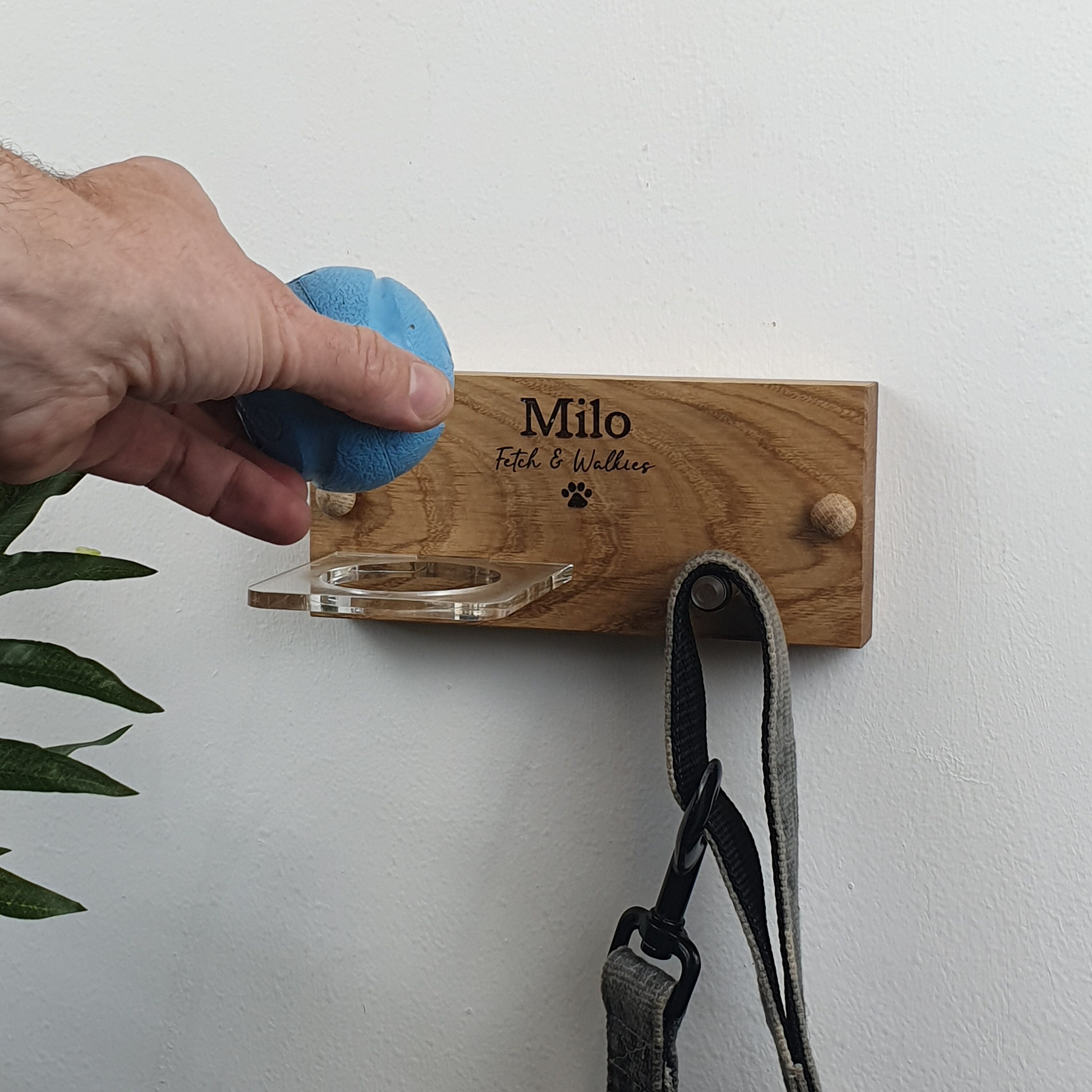 Personalised Dog Lead Hook / Engraved Dog Name Leash Hanger - Etsy UK