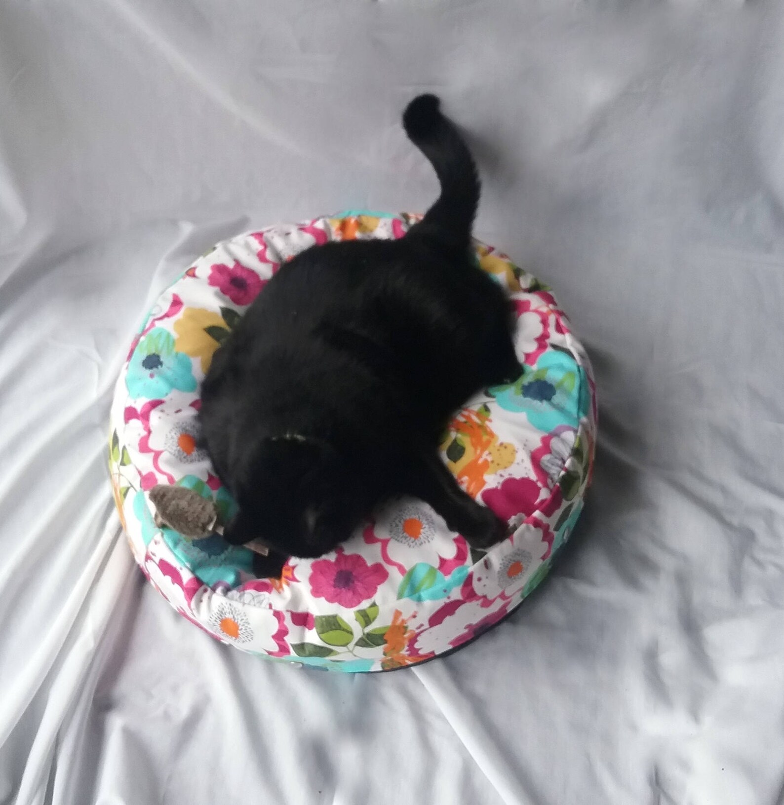 Floral Cat Bed, Floral Dog Bed, Large Round Cat Bed, Round 24 Inch Cat ...