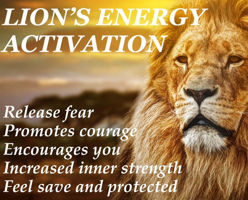Lions Energy Activation - Etsy