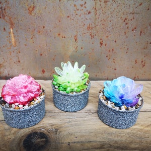 Succulents, Resin Flower, Decorative Resin Succulent, - Etsy UK