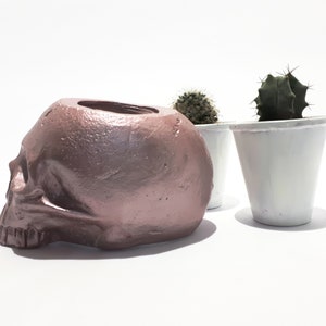 Decorative Skull, Skull Pot, Make up Brush Holder, - Etsy