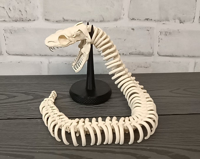 Articulated 3D Printed Snake Skeleton, Snake Skeleton - Etsy