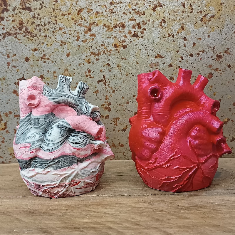 Anatomical Heart Vase - Etsy