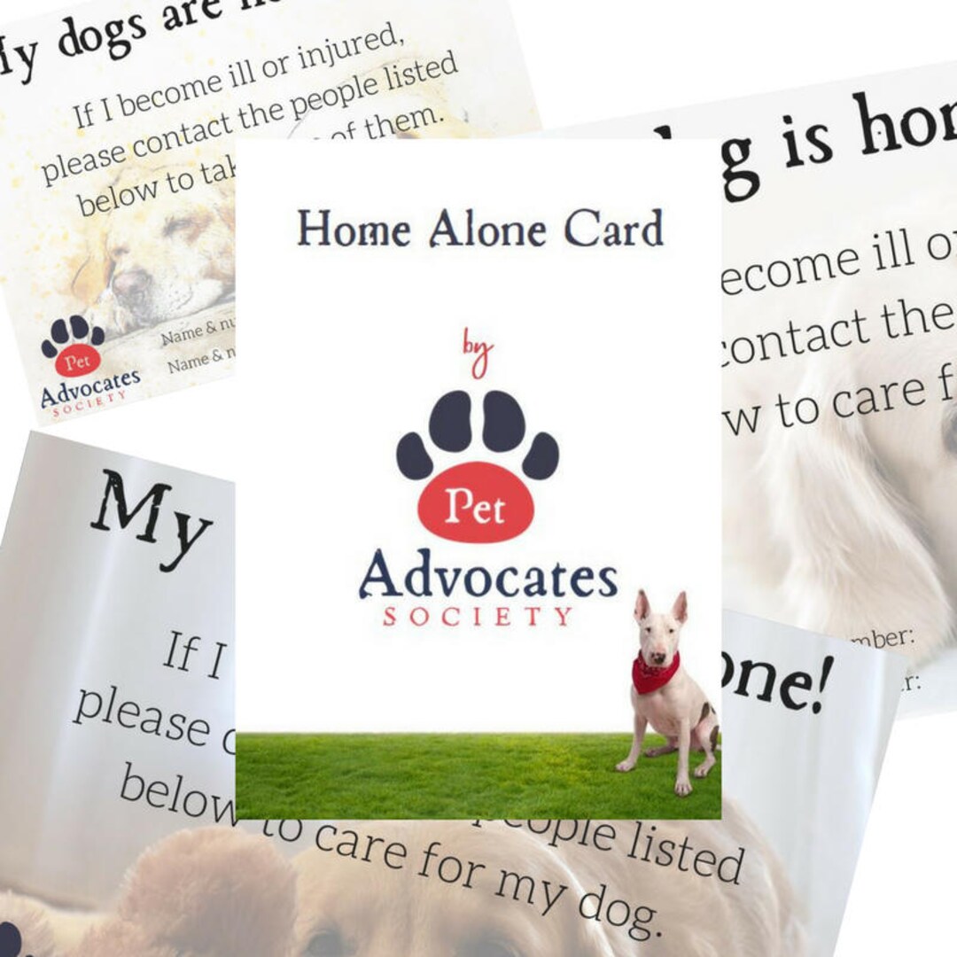Dog Emergency Card, Dog Home Alone, Pet Care Kit, Pet Emergency Kit - Etsy