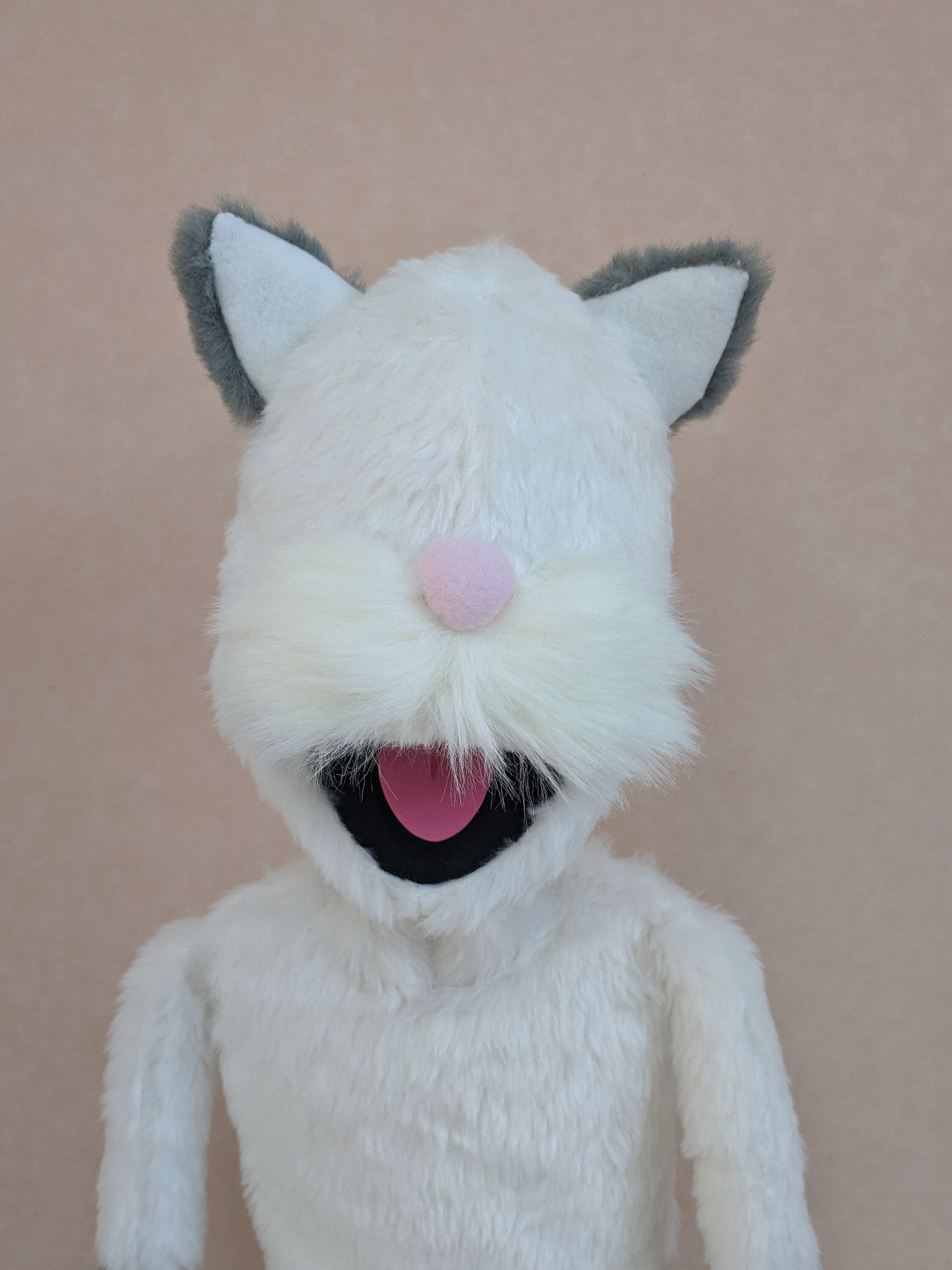 Cat Full Body Puppet You Add Features To Professional Style | Etsy