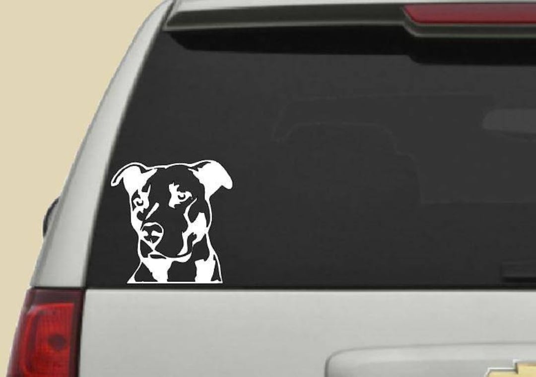 Pitbull, Pitbull Decal, Pitbull Vinyl Decal, Pitbull Car Decal, Pitbull ...