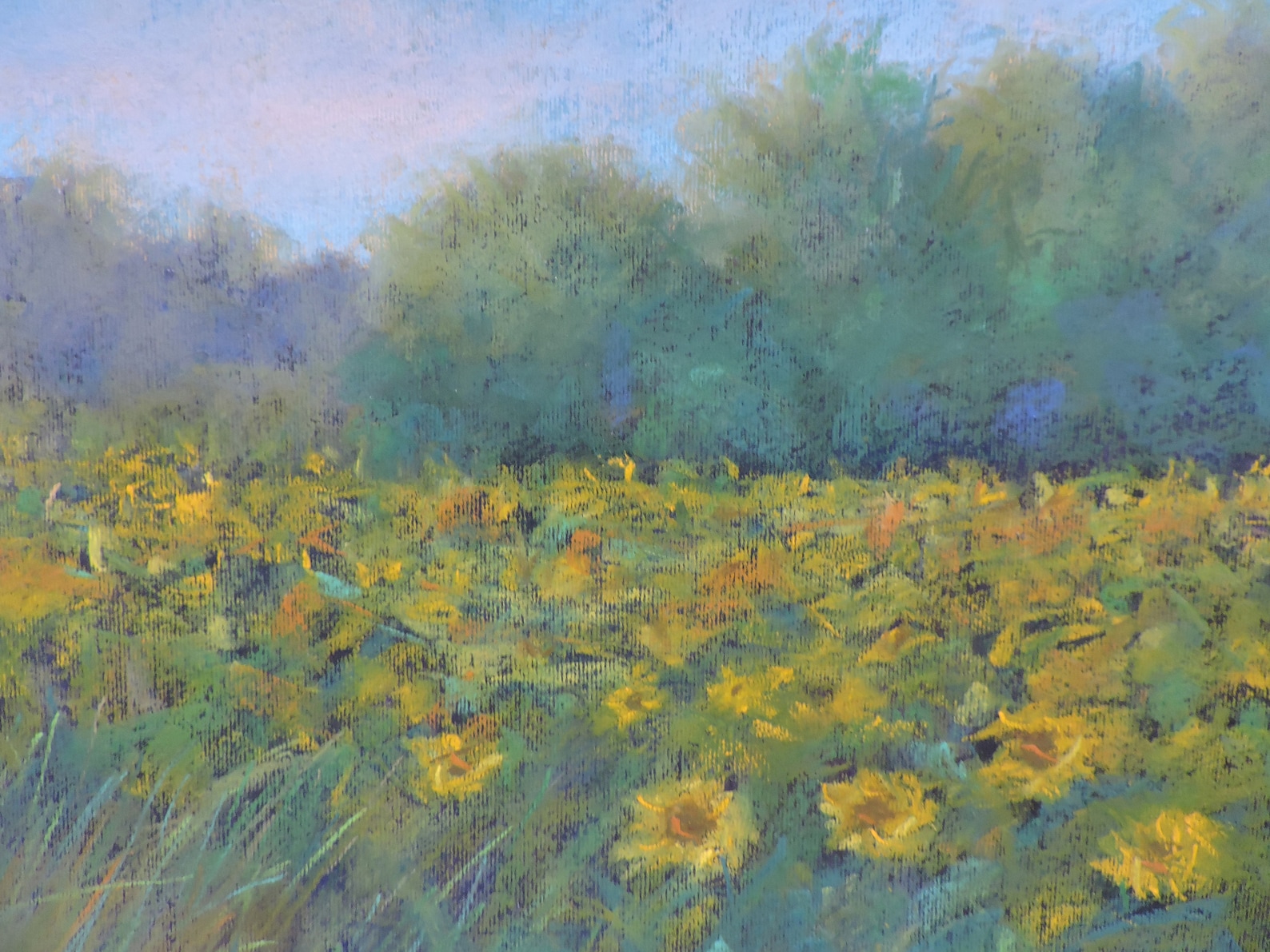 Soft Pastel Painting Field of Sunflowers - Etsy