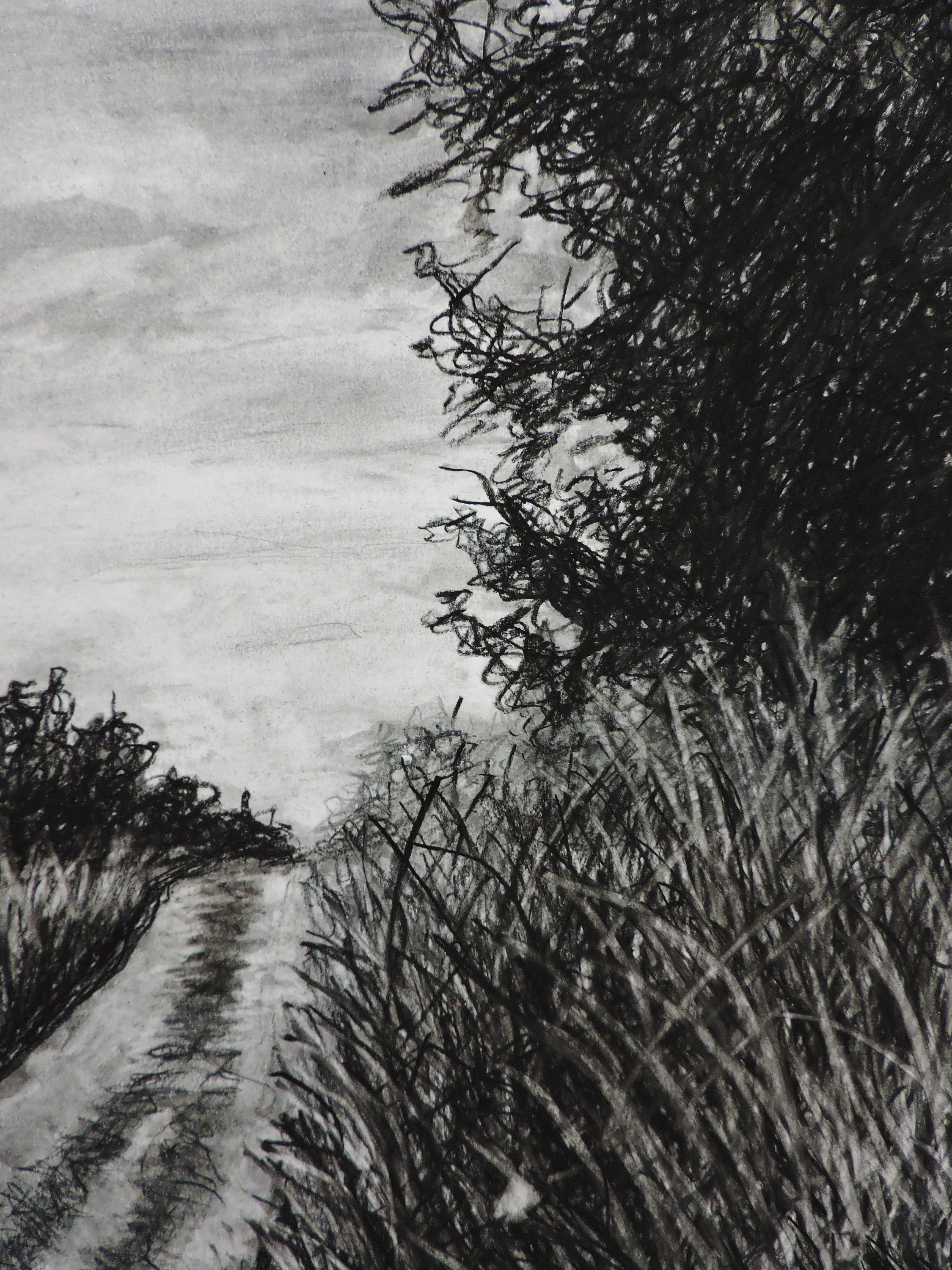 Original Charcoal Spring Landscape Drawing - Etsy