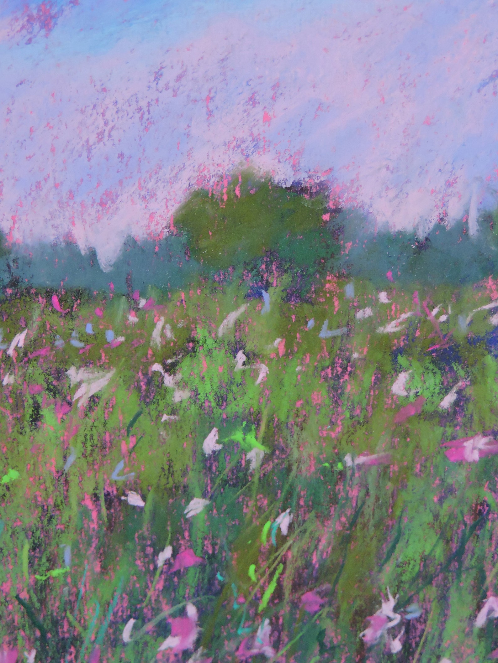 Soft Pastel Art Landscape.flower Field Painting .soft Pastel Landscape ...