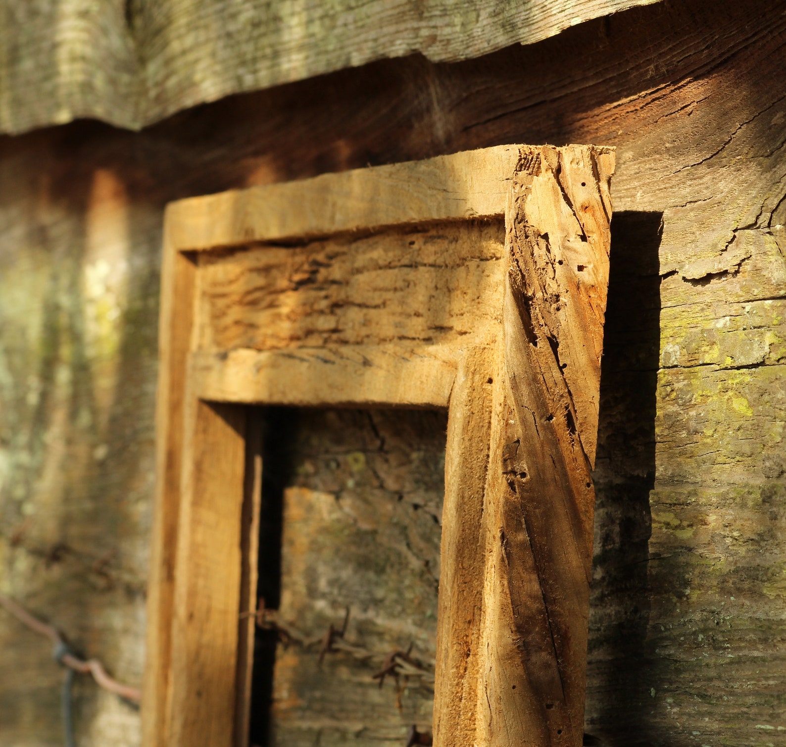 The English Natural 3.5" Rustic Cypress--(all Sizes) -the Loft ...