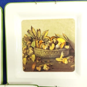 Square Plates Designed by Brunelli Made in Italy Fruit Veggie Motif ...