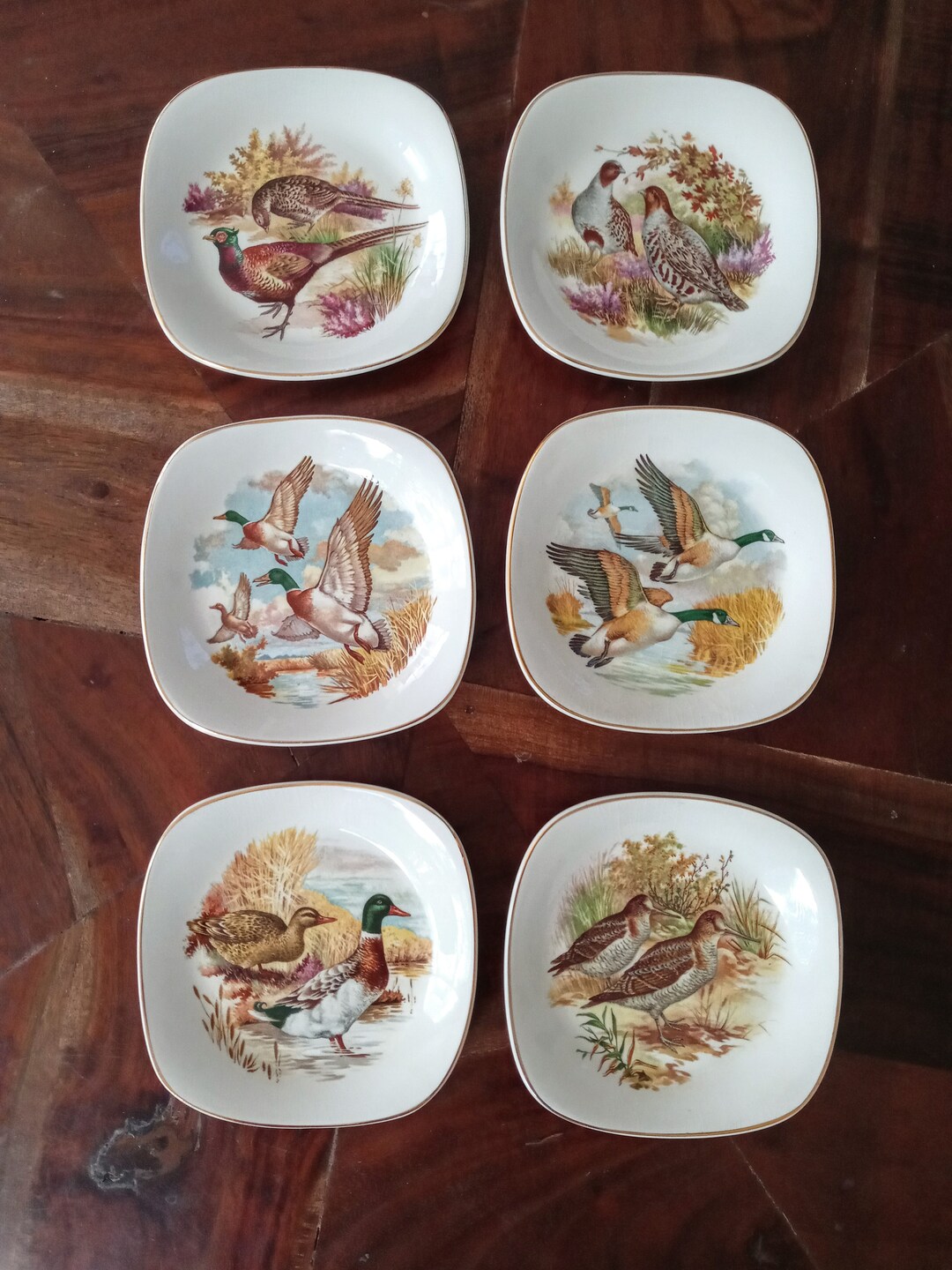Enoch Wedgwood Wild Game Bird Plates. Decorative Square Plates Each ...