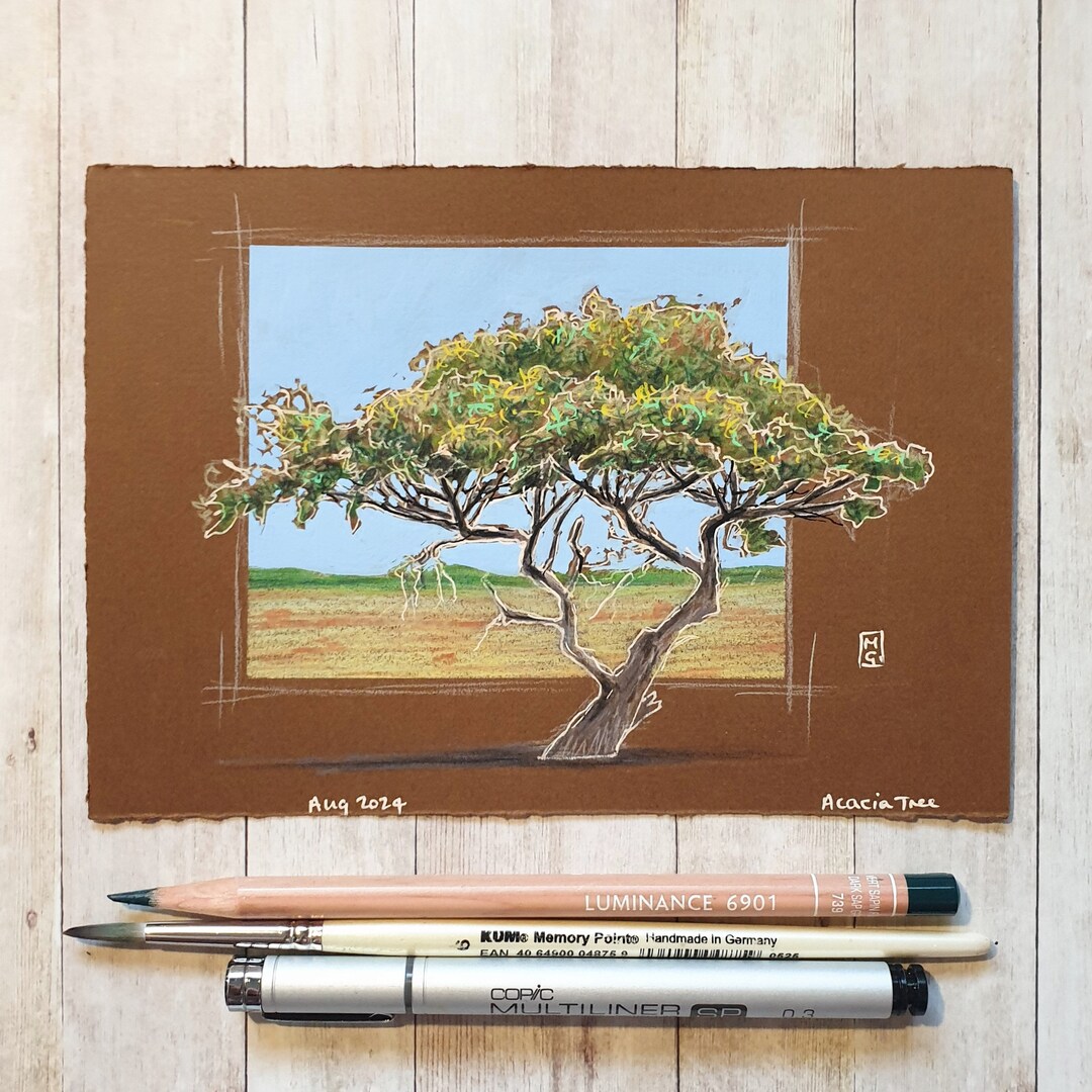 Original Drawing Acacia Tree - Etsy