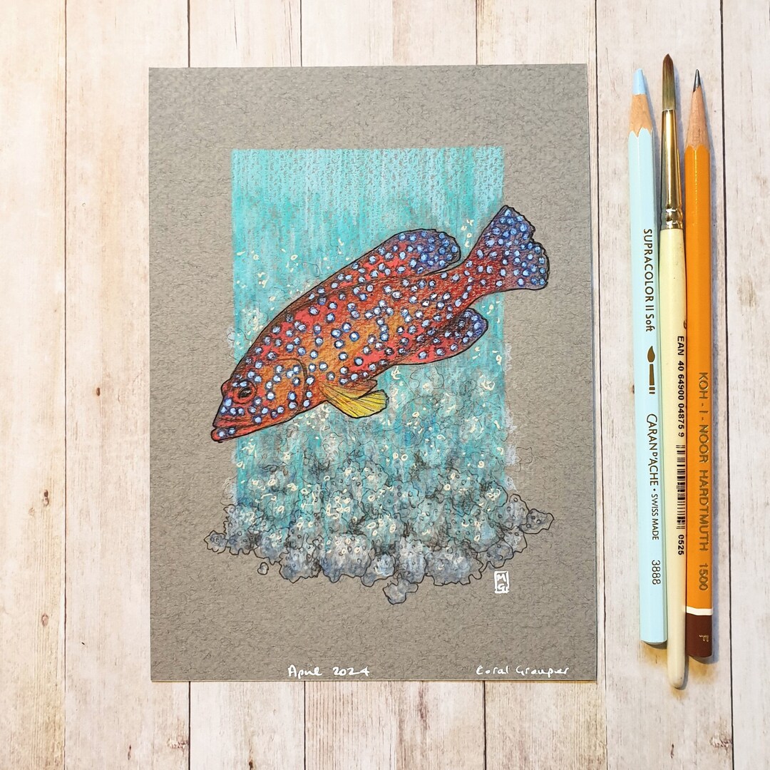 Coral Grouper Fish Artwork - Original Drawing, Wall Décor, Fish Art - Etsy
