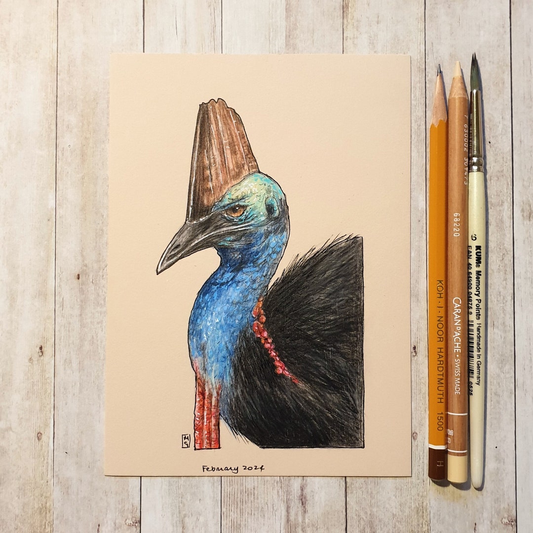 Cassowary Bird Art Original Drawing, Small Bird Wall Artwork, Wall ...