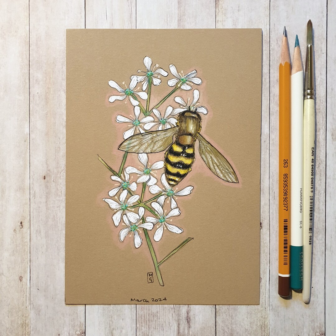 Original Drawing Hoverfly on White Flowers - Etsy UK