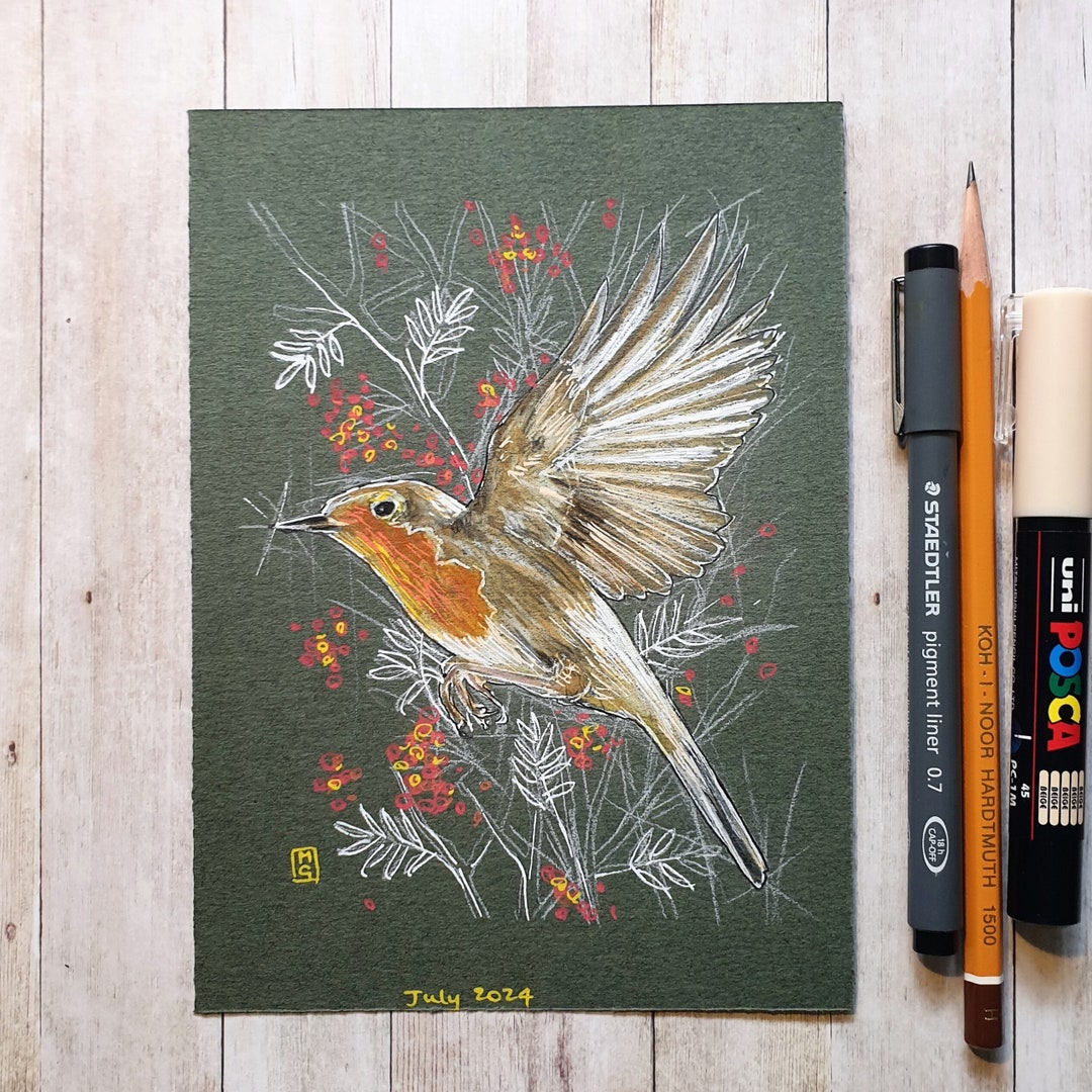 Original Drawing Robin in Flight - Etsy