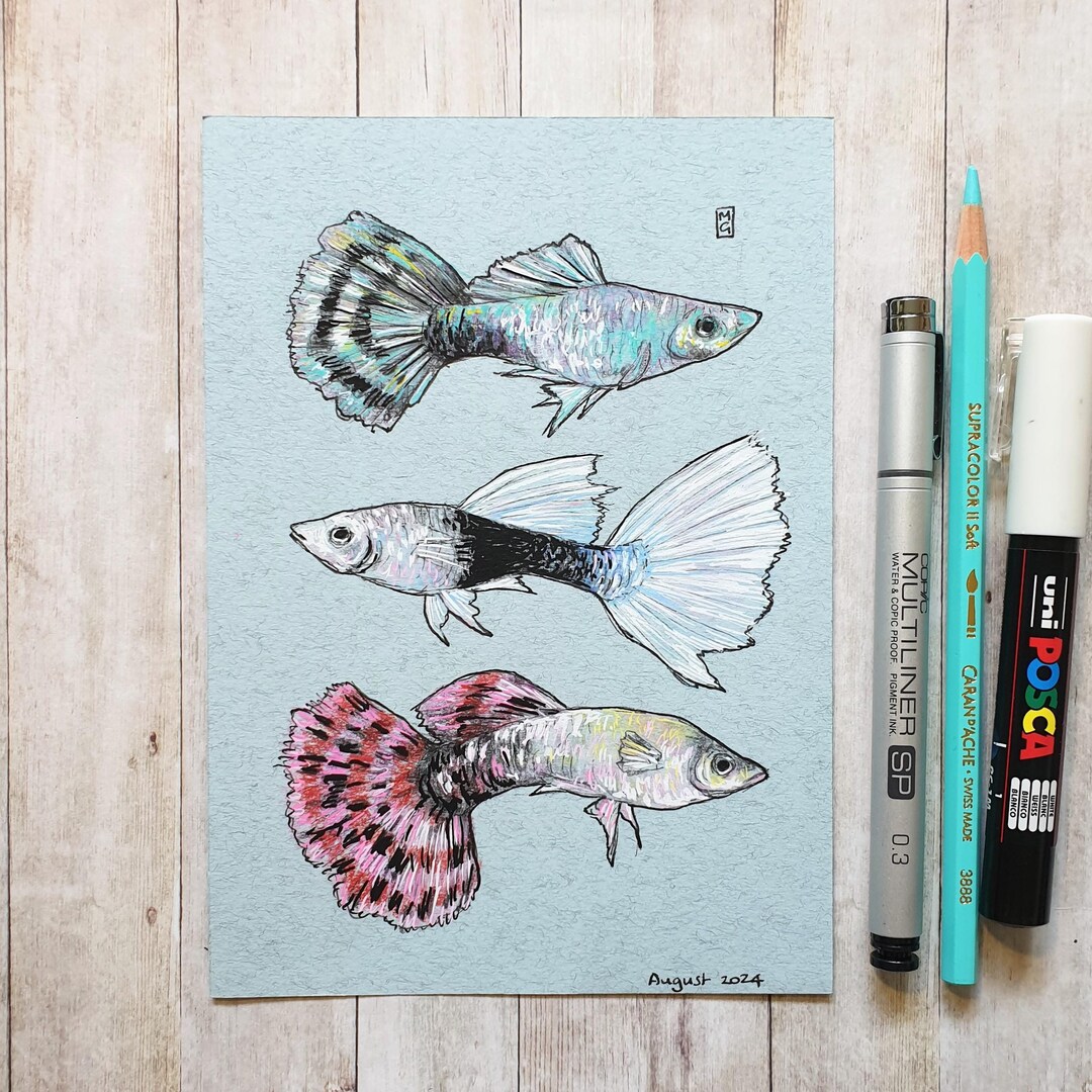 Guppies Original Drawing - Fancy Guppies Wall Décor, Fish Artwork - Etsy