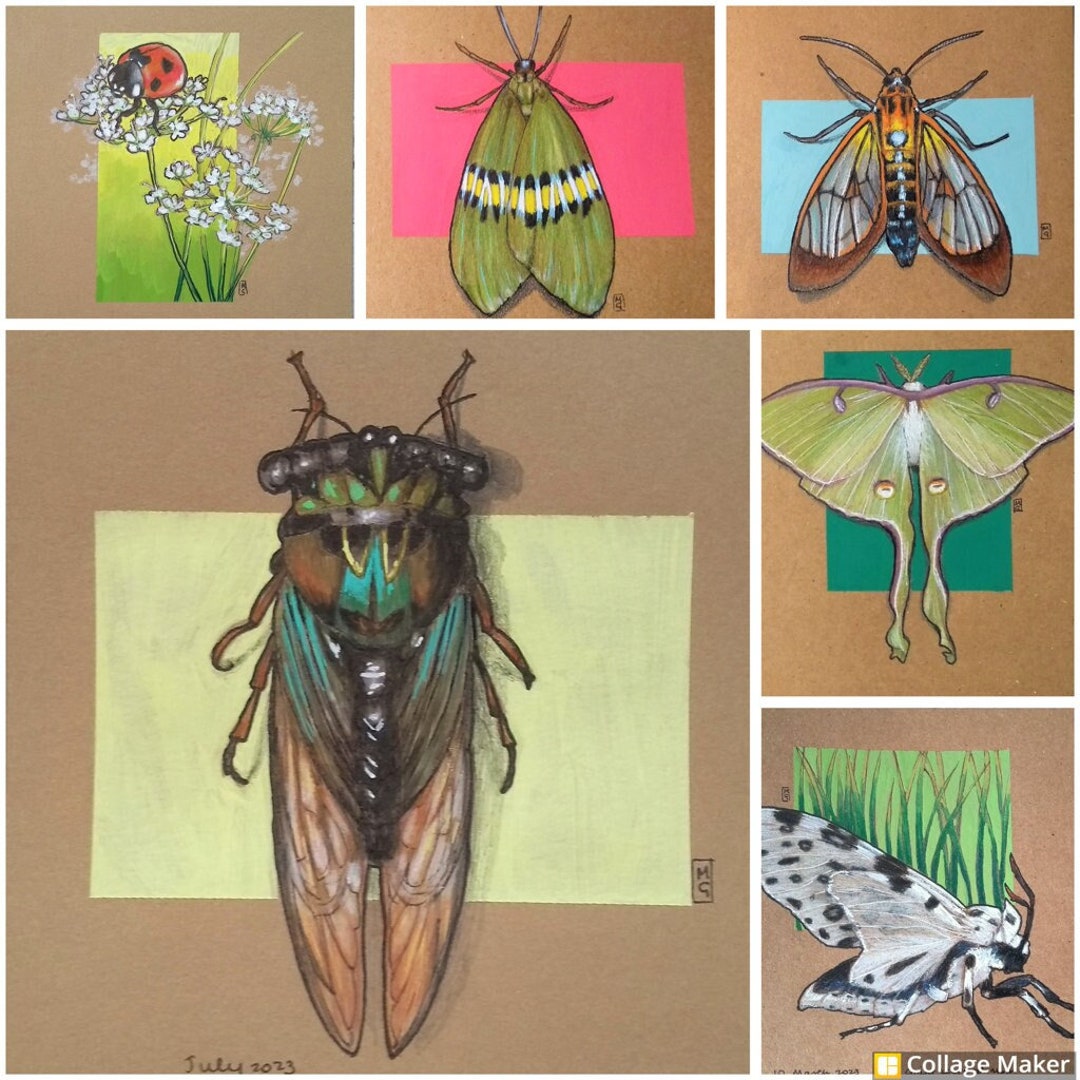Original Drawing Mixed Media bugs - Etsy
