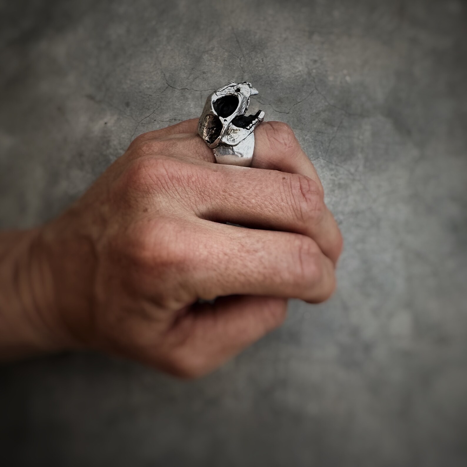 Sterling Silver Bobcat Skull Ring: Lynx Rufus Statement Goth Jewelry - Etsy