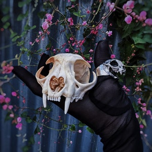 Bobcat Skull Ring - Lynx Rufus Big Cat Desert Animal Badass Biker ...