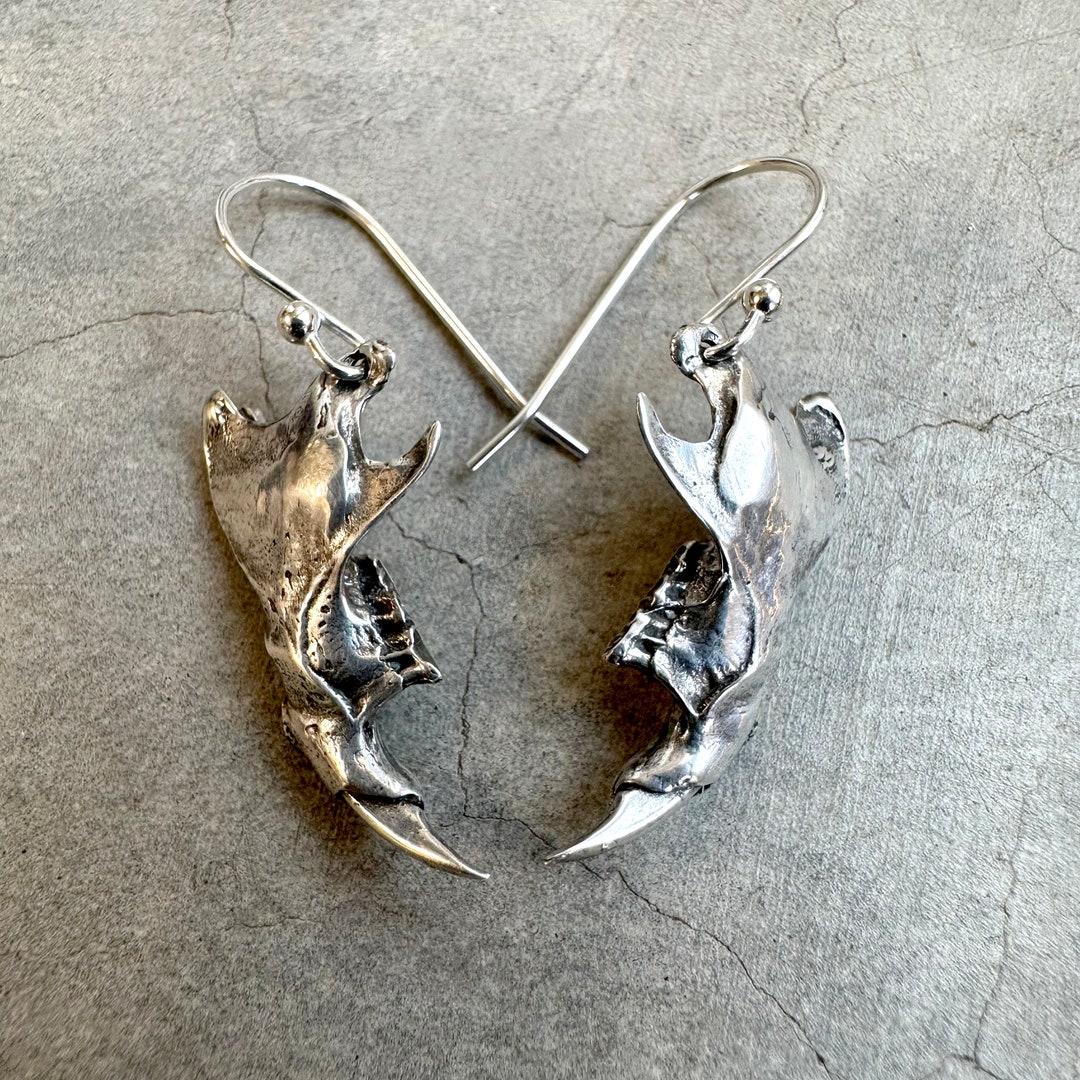 Desert Rat Jaw Earrings - Mouse Bone Jawbone Teeth Skull Skeleton ...