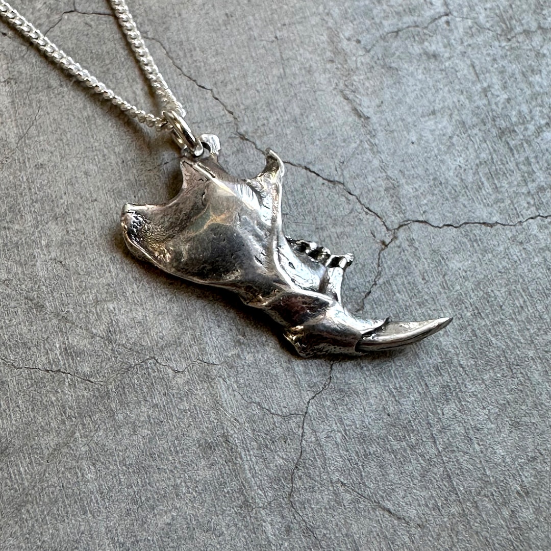 Desert Rat Jaw Necklace - Mouse Cutie Bone Bones Rough Tiny Tough - Etsy