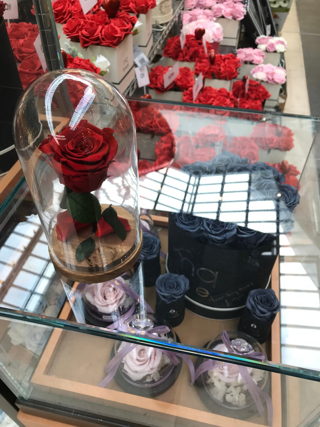 Preserved Enchanted Rose, Belle Rose Glass Dome for Valentines Day Real ...