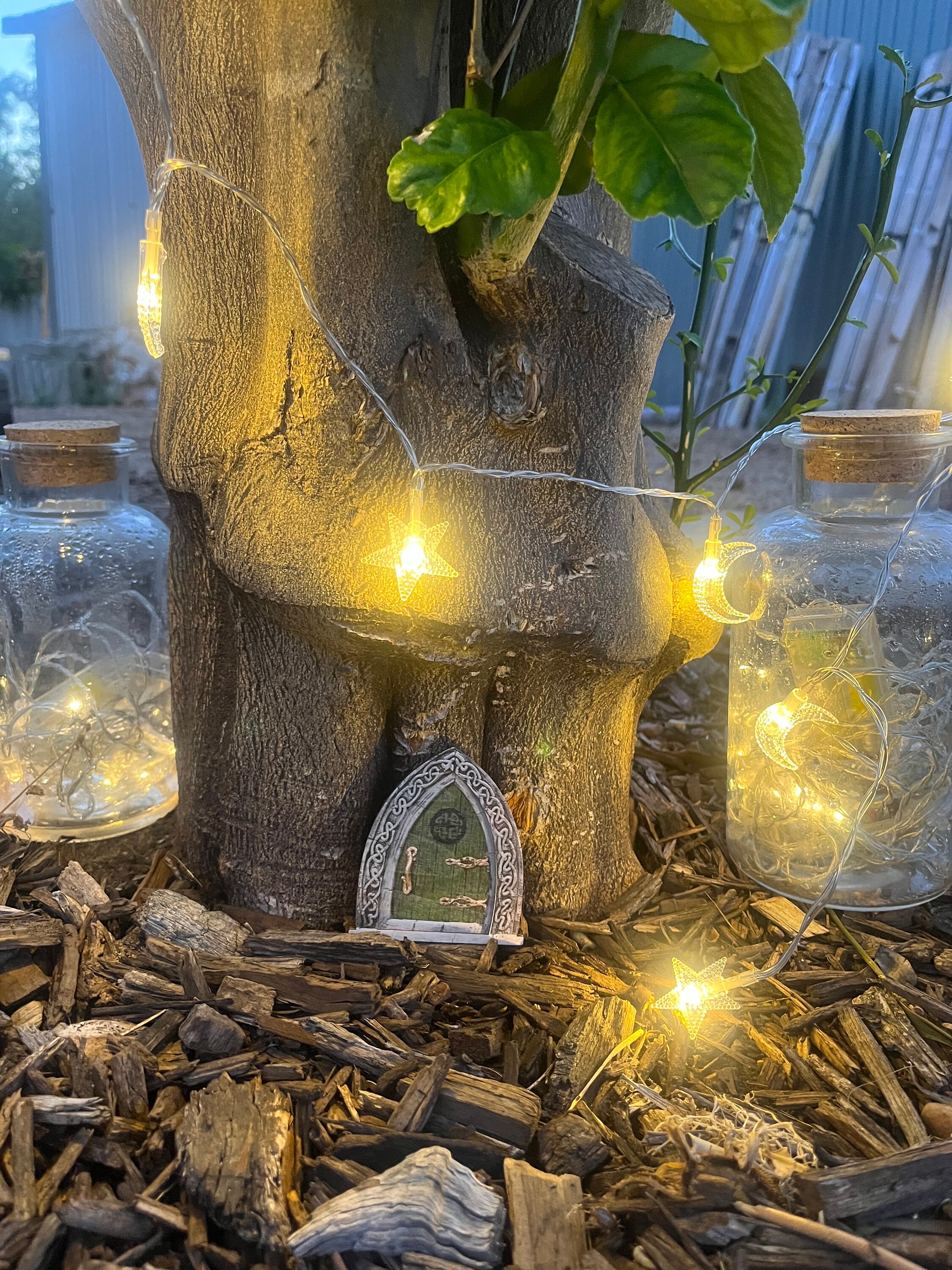 Tooth Fairy Kit Discover the Magic - Etsy