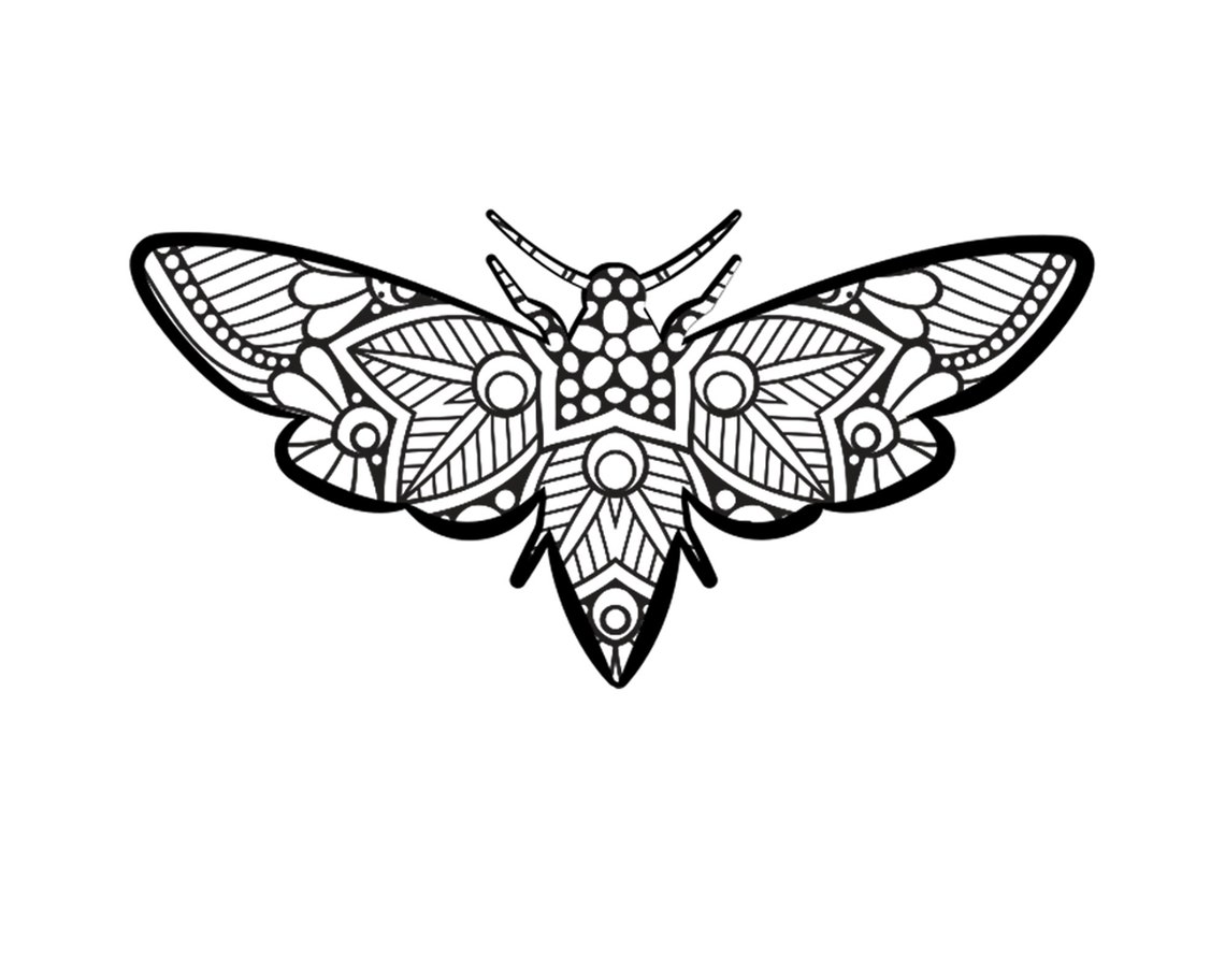 Moth Mandala svg insect svg wall art moth svg moth Bundle svg | Etsy