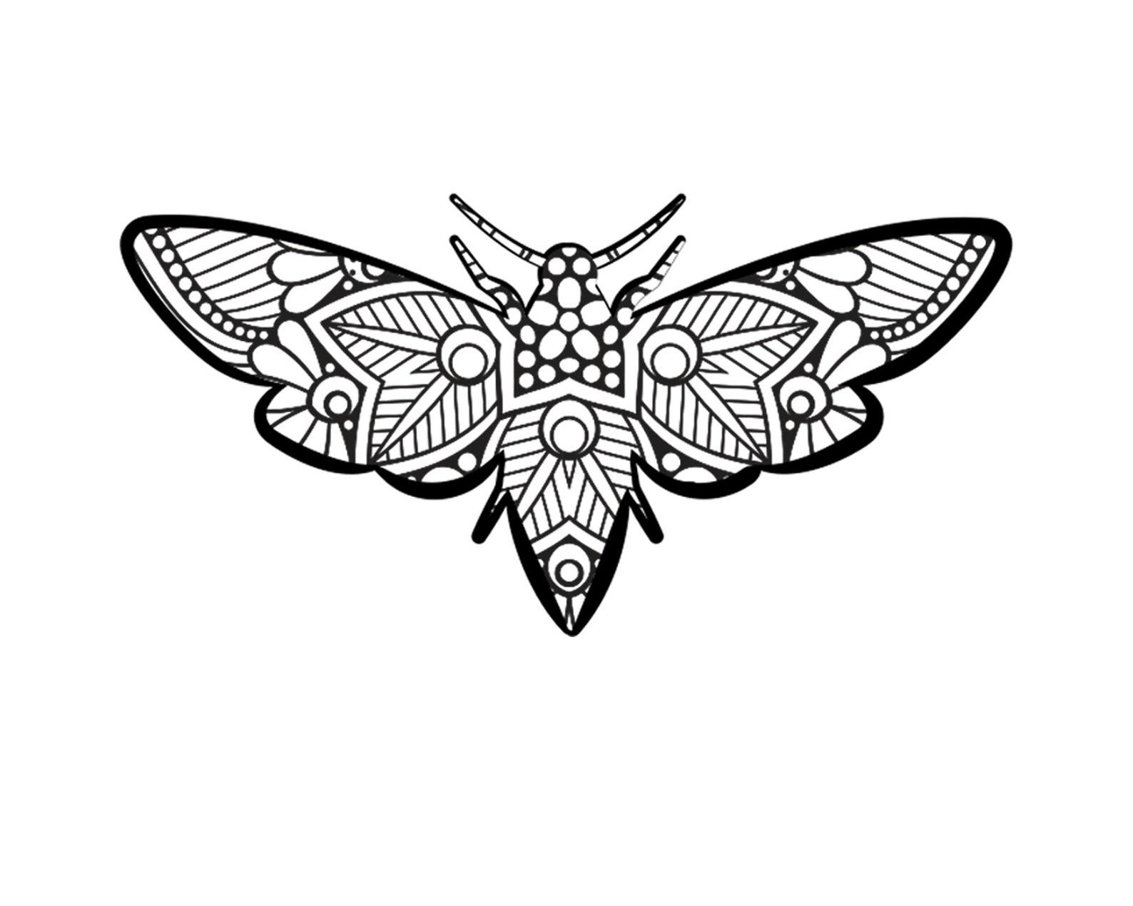 Moth Mandala Svg Insect Svg Wall Art Moth Svg Moth Bundle Svg Cut Files ...