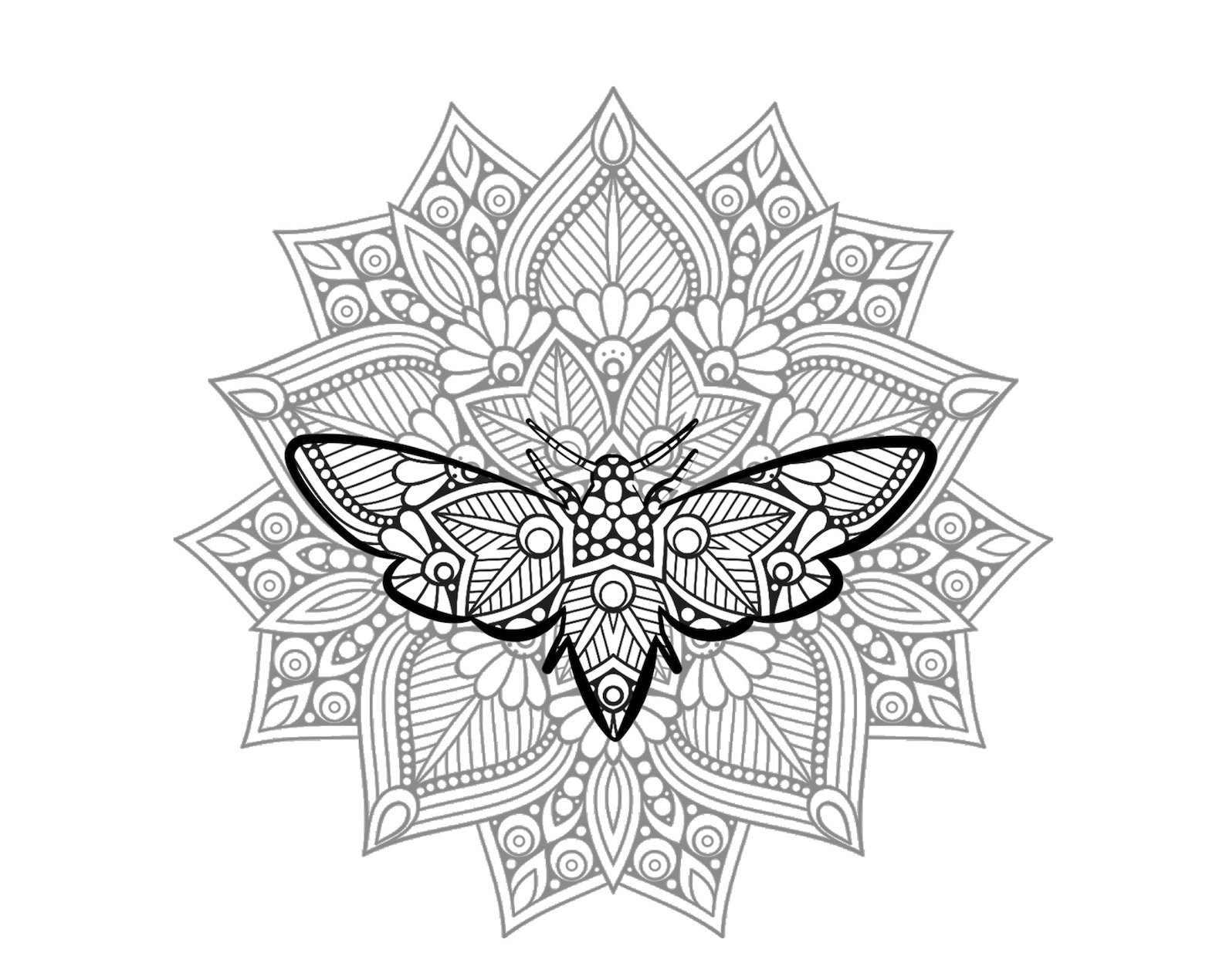 Moth Mandala Svg Insect Svg Wall Art Moth Svg Moth Bundle Svg Cut Files ...